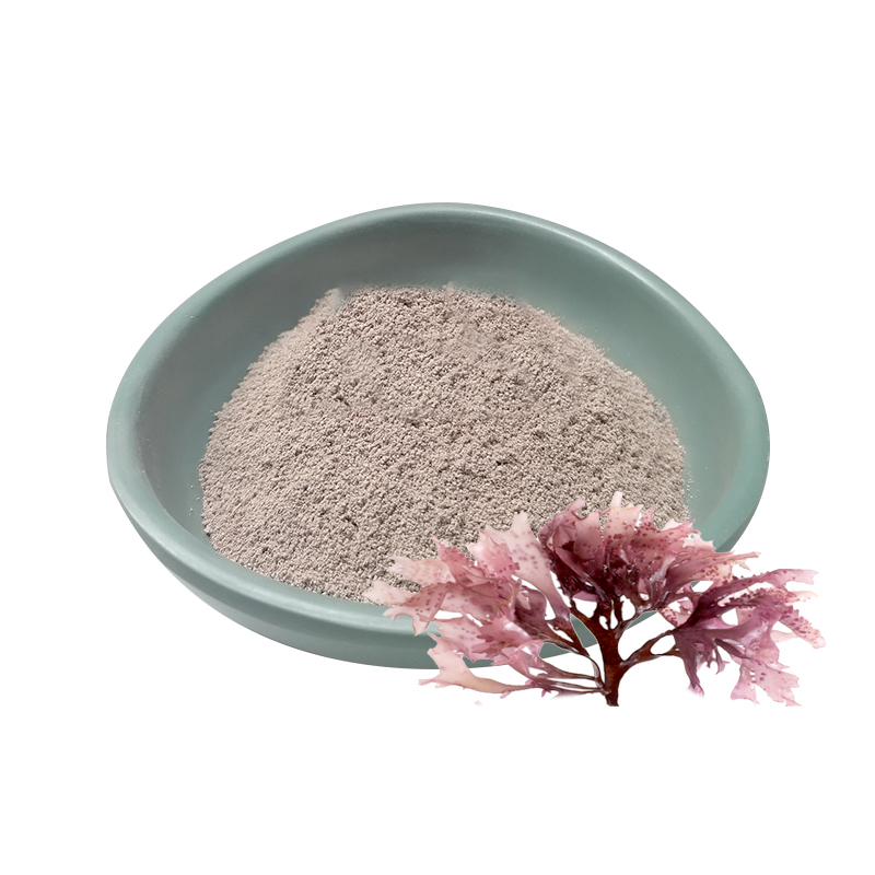 Red Algae Powder Bulk - YanggeBiotech
