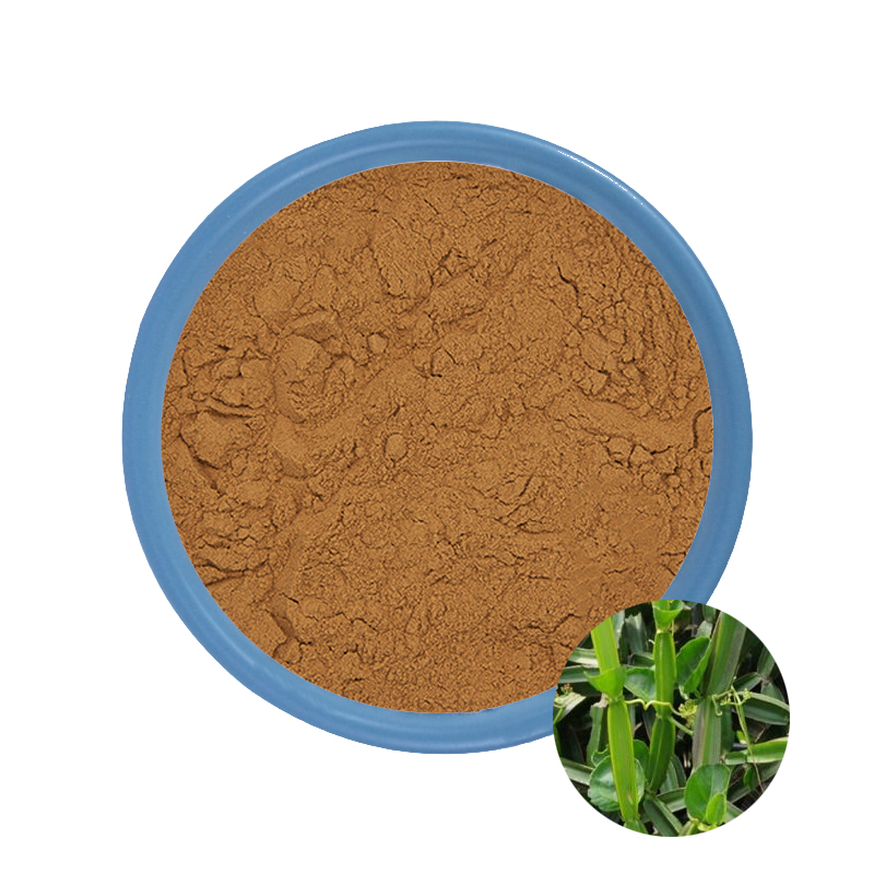 cissus quadrangularis super extract powder - YanggeBiotech